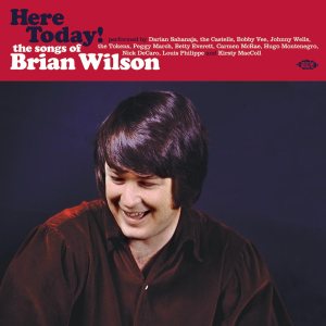 HERE TODAY!-THE SONGS OF BRIAN WILSON VINYL EDITION. | dereksmusicblog
