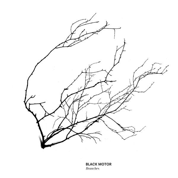 BLACK MOTOR-BRANCHES. | dereksmusicblog